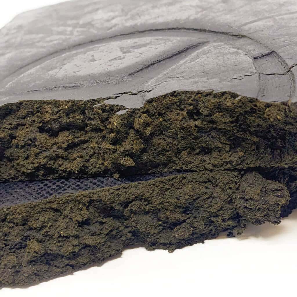 Extracts & Hash Archives - BC Medi Chronic