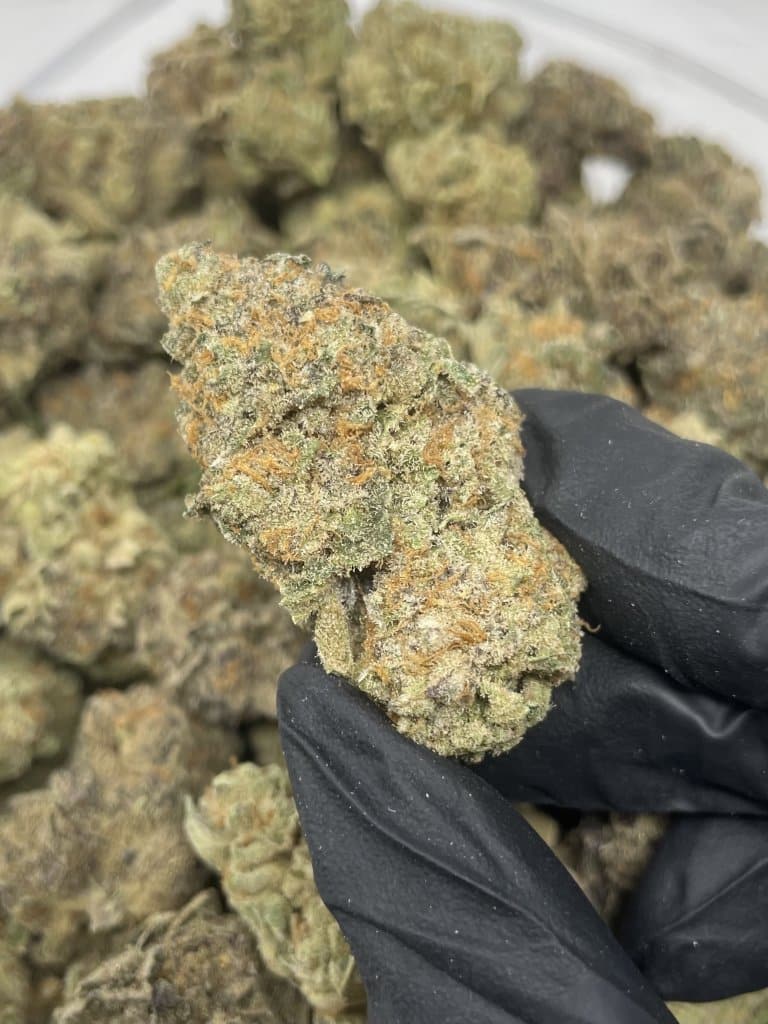 Ice Cream Kush | Indica-dominant | BC Medi Chronic