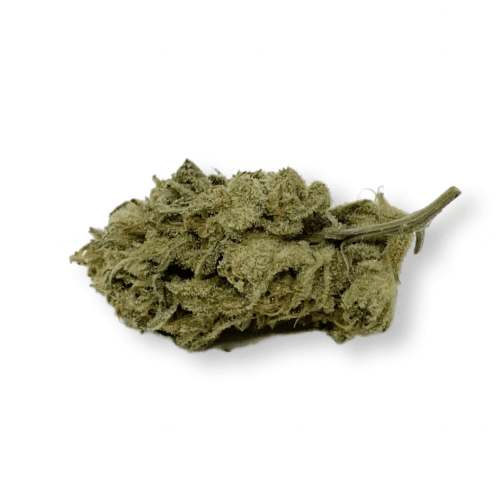 NYC Diesel - BC Medi Chronic