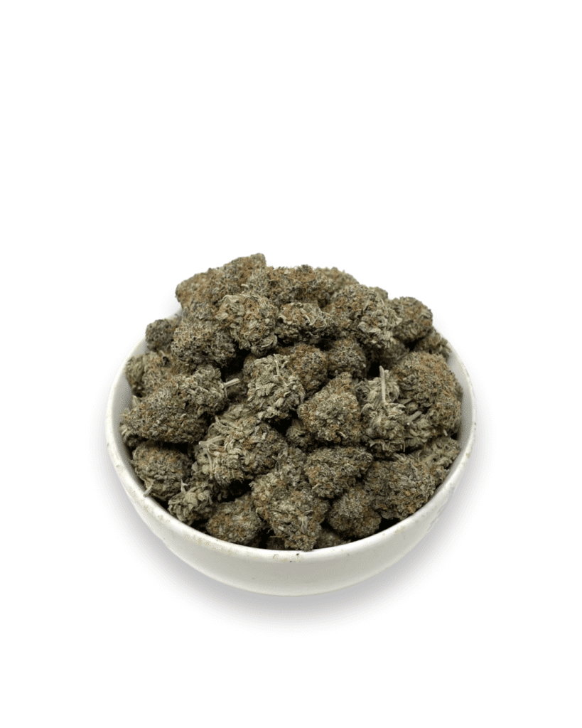 Mac 1 - BC Medi Chronic