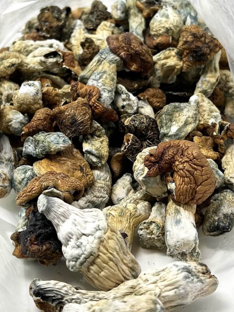 Tidal Wave Magic Mushrooms - BC Medi Chronic